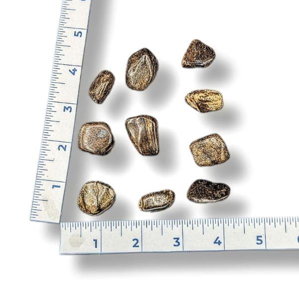 Astrophyllite Tumbled | Earthworks - Earthworks Simple Spiritual Shopping