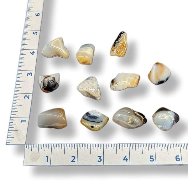 Dendrite Agate Tumbled Madagascar | Earthworks - Earthworks Simple ...