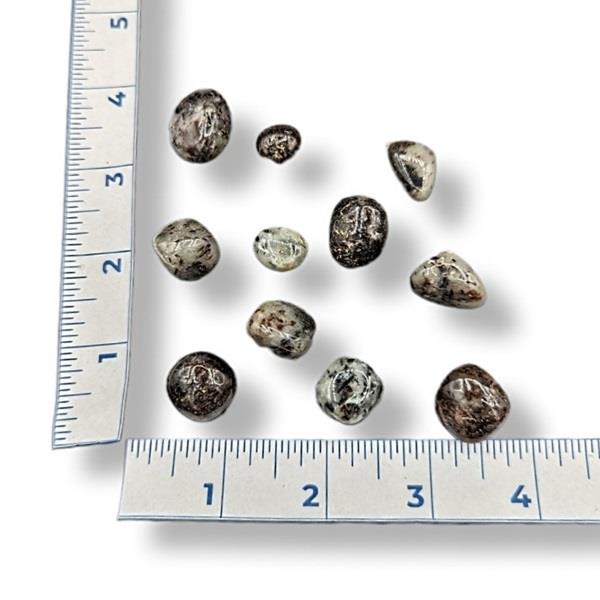 Astrophyllite Tumbled | Earthworks - Earthworks Simple Spiritual Shopping